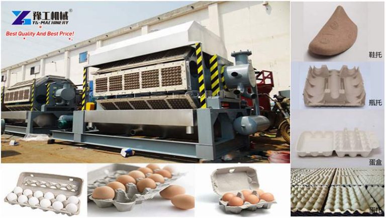 Egg Tray Making Machine 5000pcs/h Egg Crate Machine Price