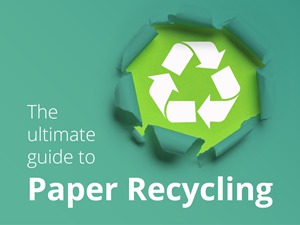 Waste Paper Recycling Process: A Step-by-Step Guide