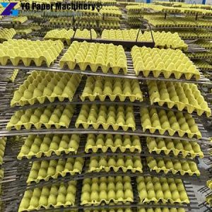 Drying Methods | Best 3 Ways to Perfect Drying Egg Trays