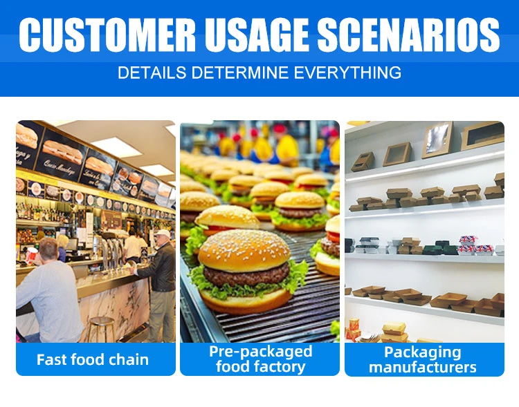Burger Box Making Machine | YG Paper Machiery